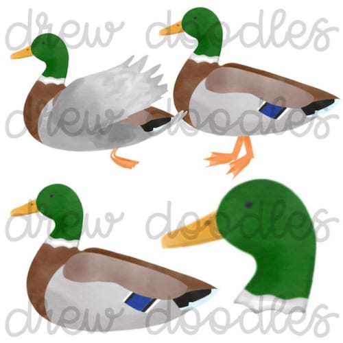 Watercolor Fishing Digital Clip Art Set Instant Download - Etsy