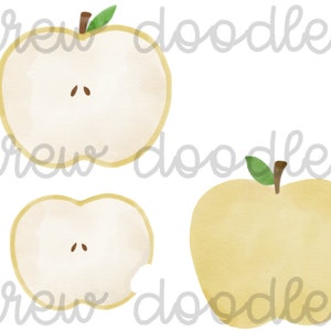 Watercolor Apples Digital Clip Art Set- Instant Download - Etsy