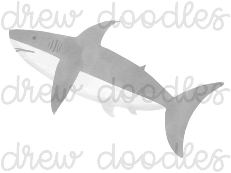 Watercolor Sharks Digital Clip Art Set Instant Download - Etsy