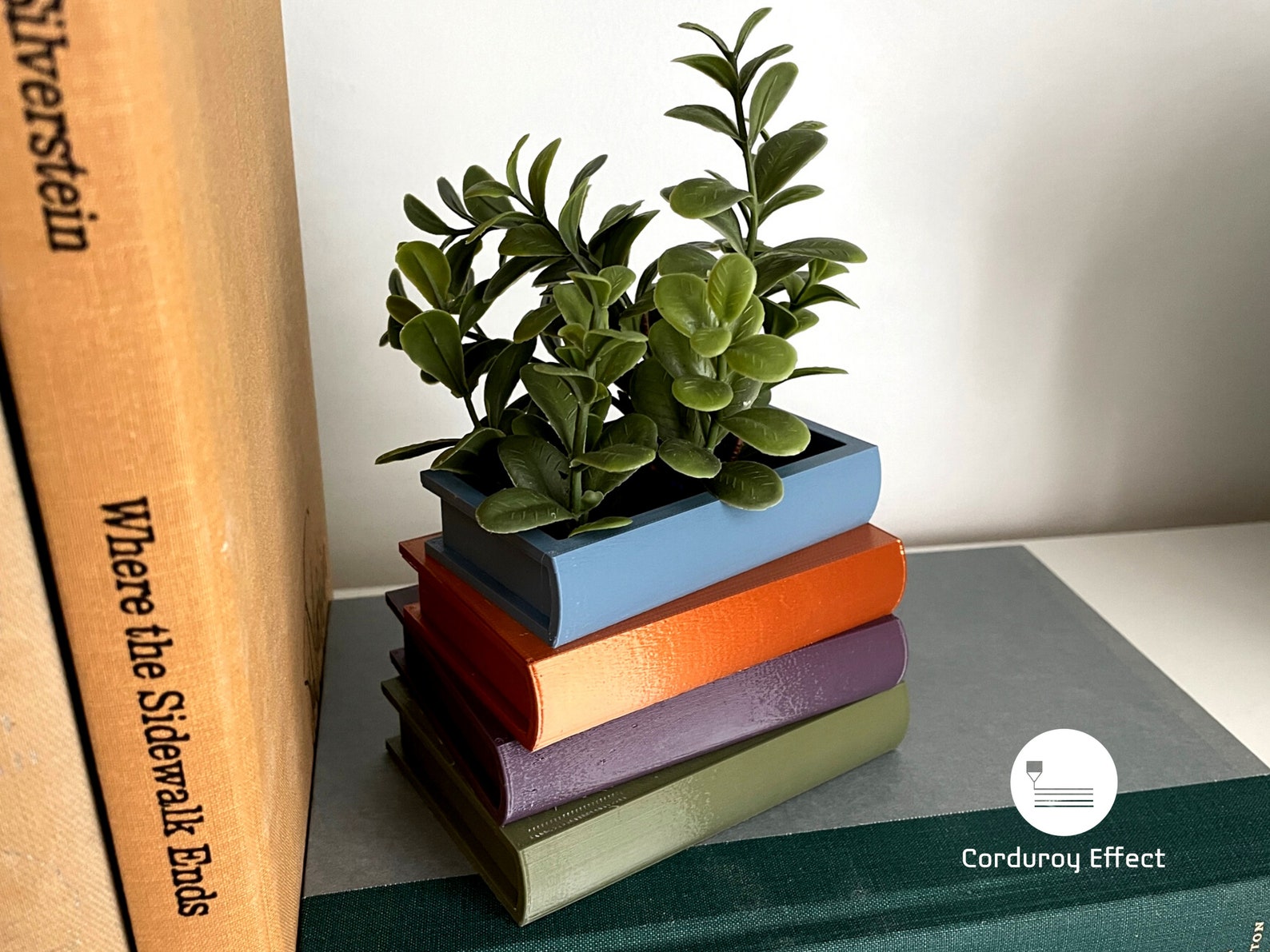 Multicolor Stack of Books Succulent Plant Pot Succulent Gift - Etsy