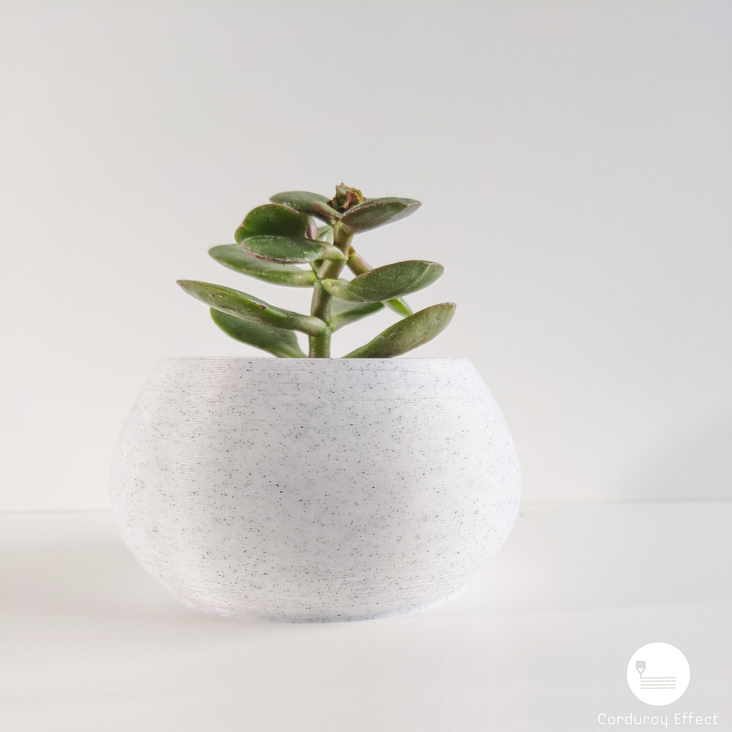 Rounded Succulent Plant Pot 3D Printed | Etsy