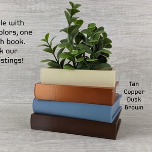 Stack of Books Succulent Plant Pot Succulent Gift 3D - Etsy