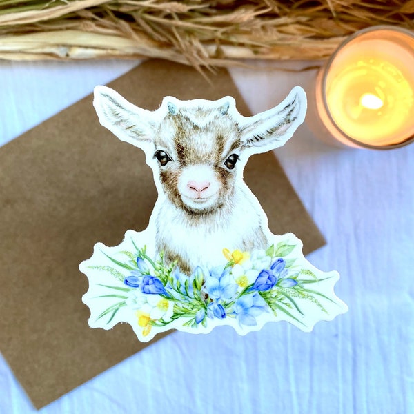 Cute Baby Goat - Etsy