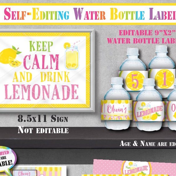 Lemonade Party - Etsy