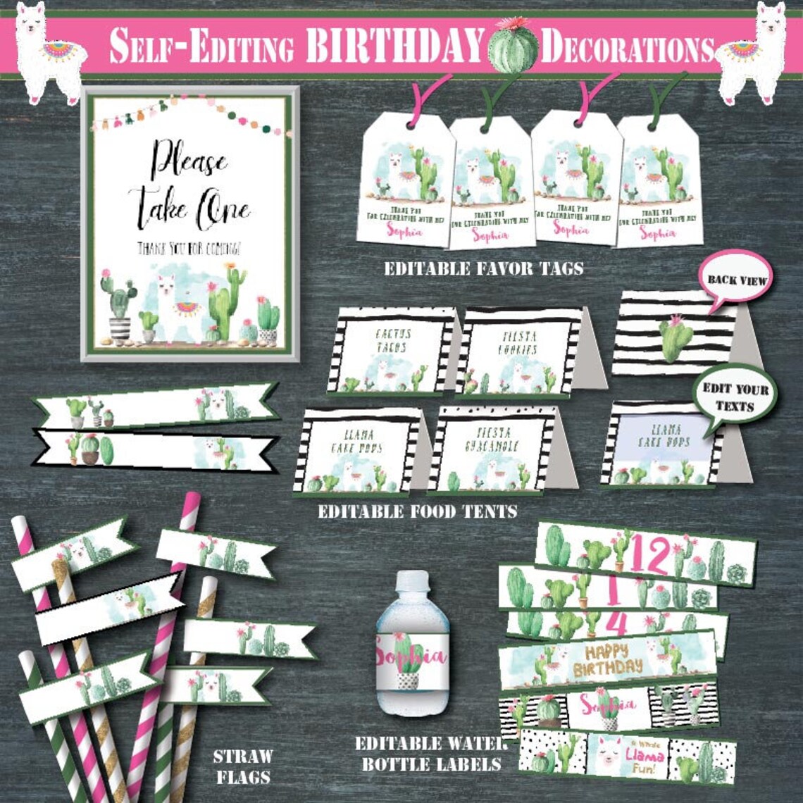 SELF-EDITING Llama Birthday Decorations-llama Party-a Whole | Etsy