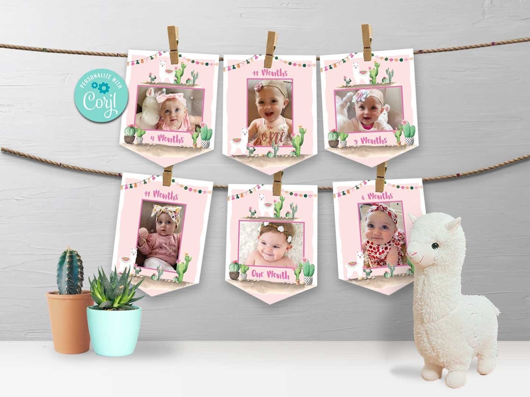 Llama Birthday Photo Banners-edit W Corjl-llama Party Photo Decorations ...