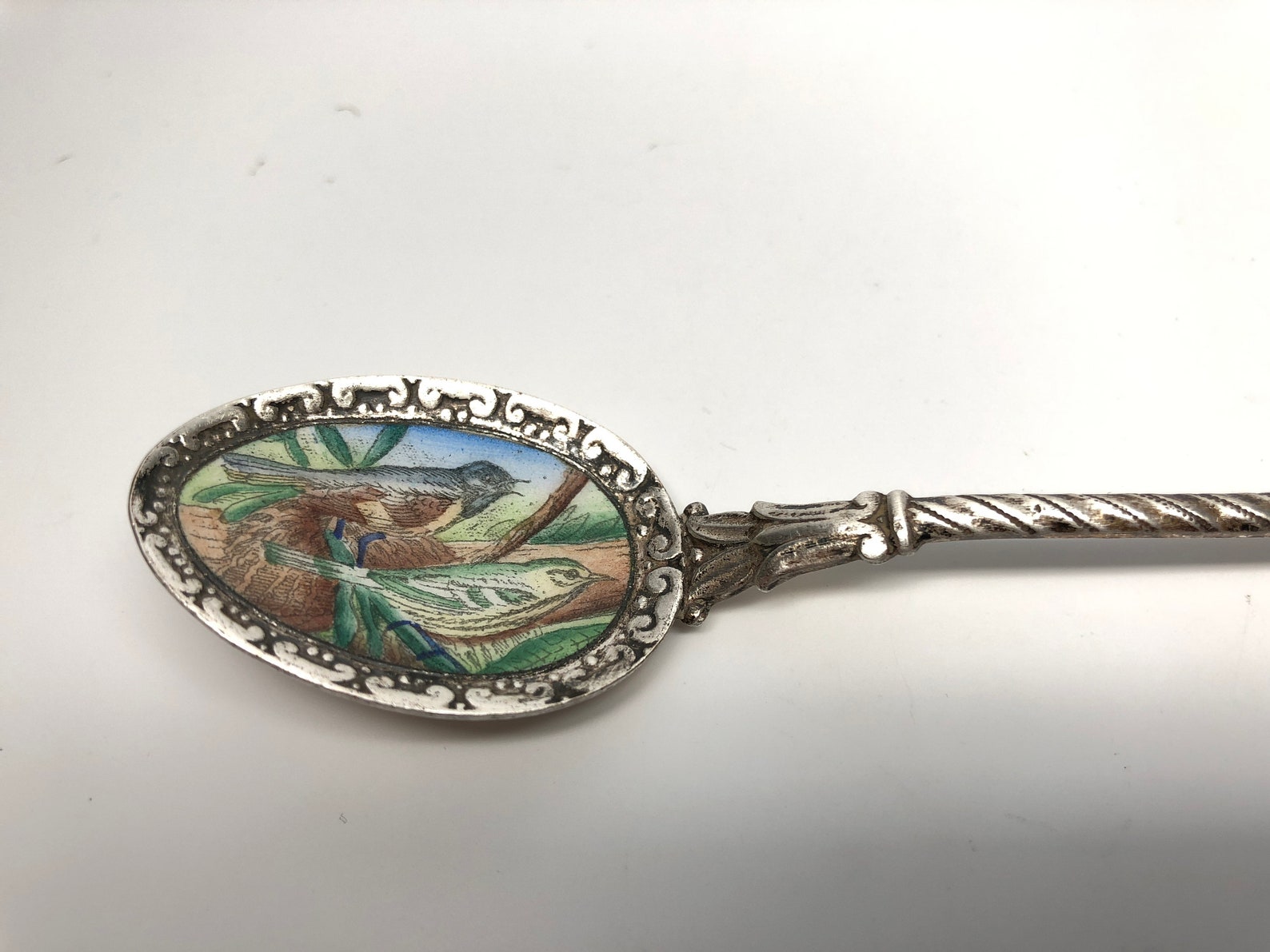 Hand Painted Enamel Birds Silver Souvenir Spoon - Etsy