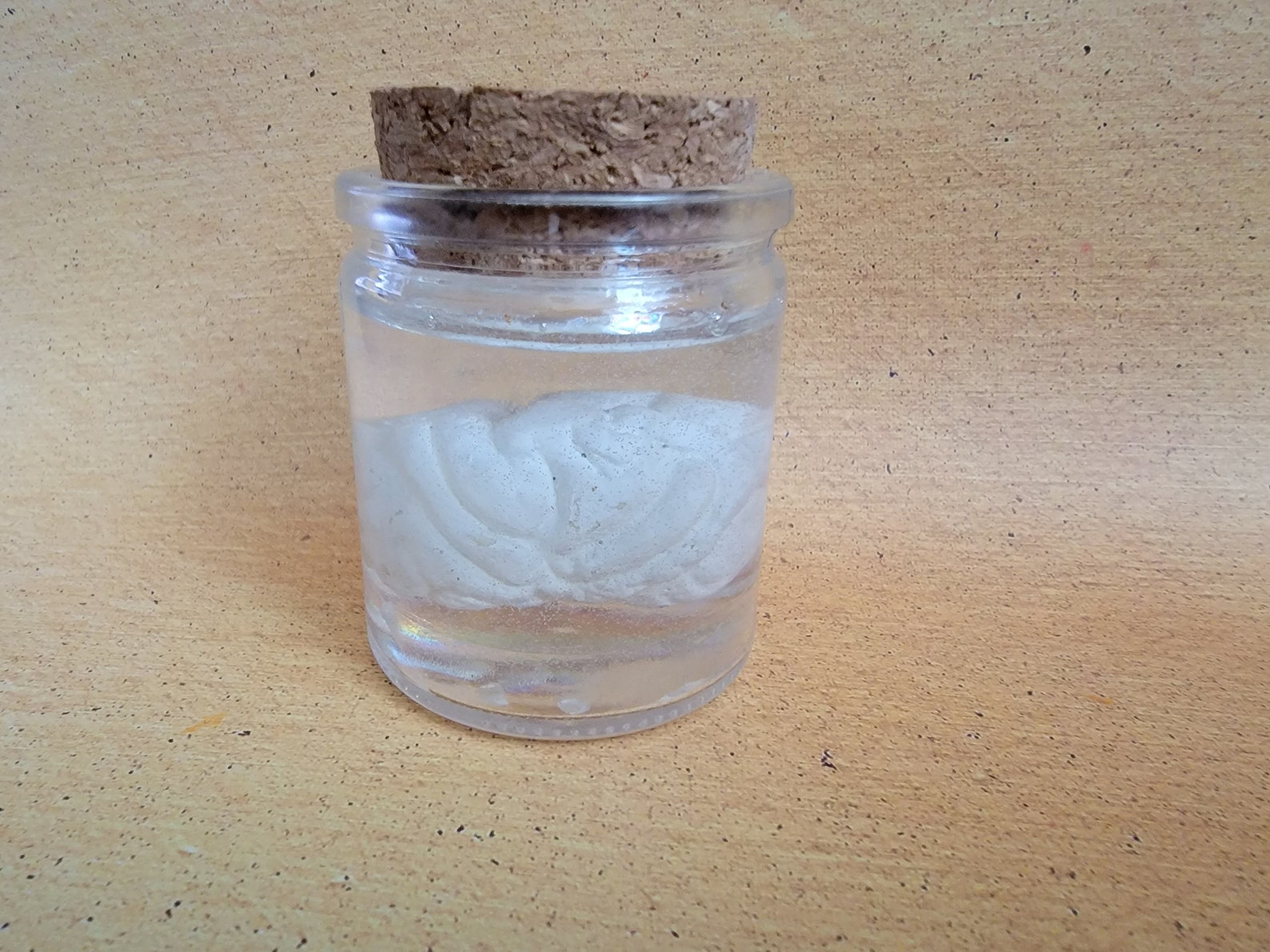 Albert Einsteins Brain In Jar