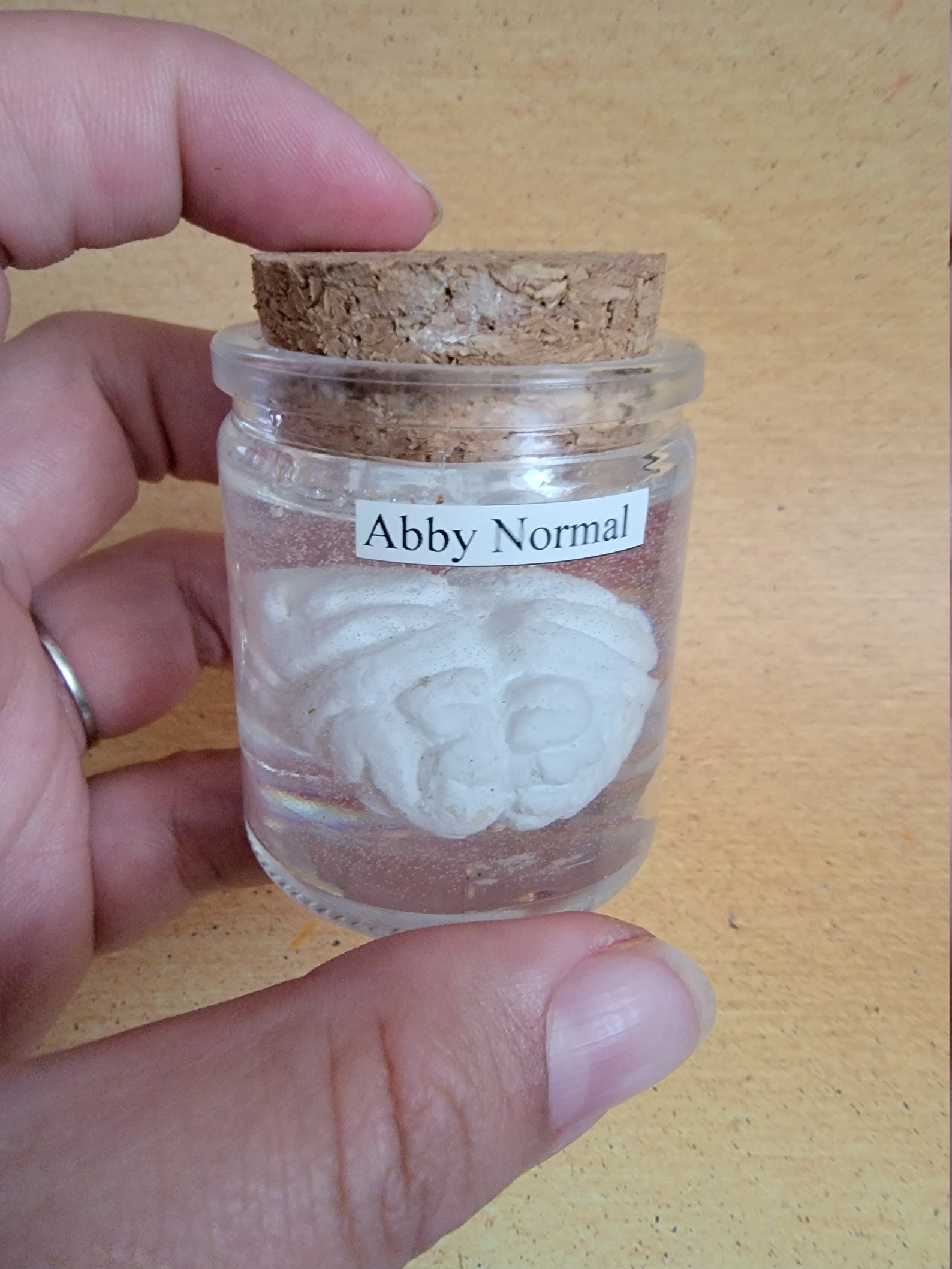 Abby Normal Brain in a jar Young Frankenstein | Etsy