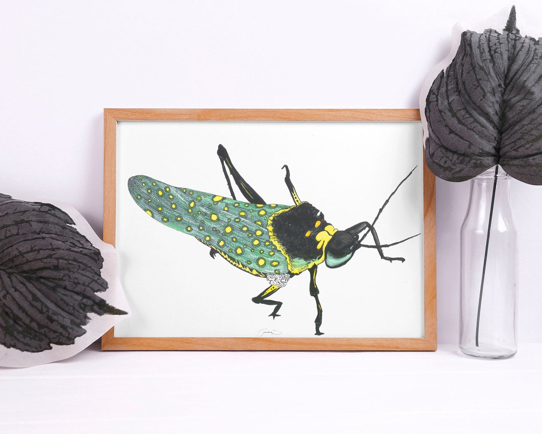 Grasshopper 1 Original Gouache Painting, Locust Poster, Home Decor ...