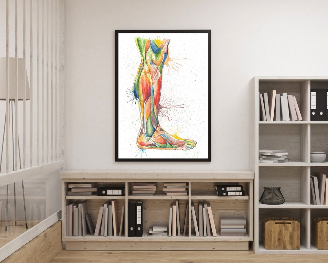 Rainbow Leg Muscle System Original Watercolour Painting, Human Body ...