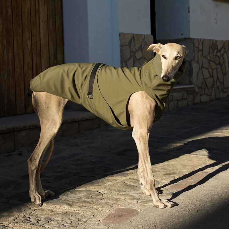 Greyhound Coats - Etsy