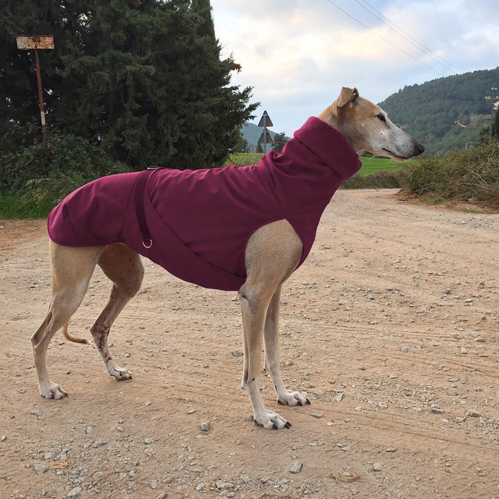 Greyhound Coat Waterproof and Windbreaker Polar Fleece Soft | Etsy