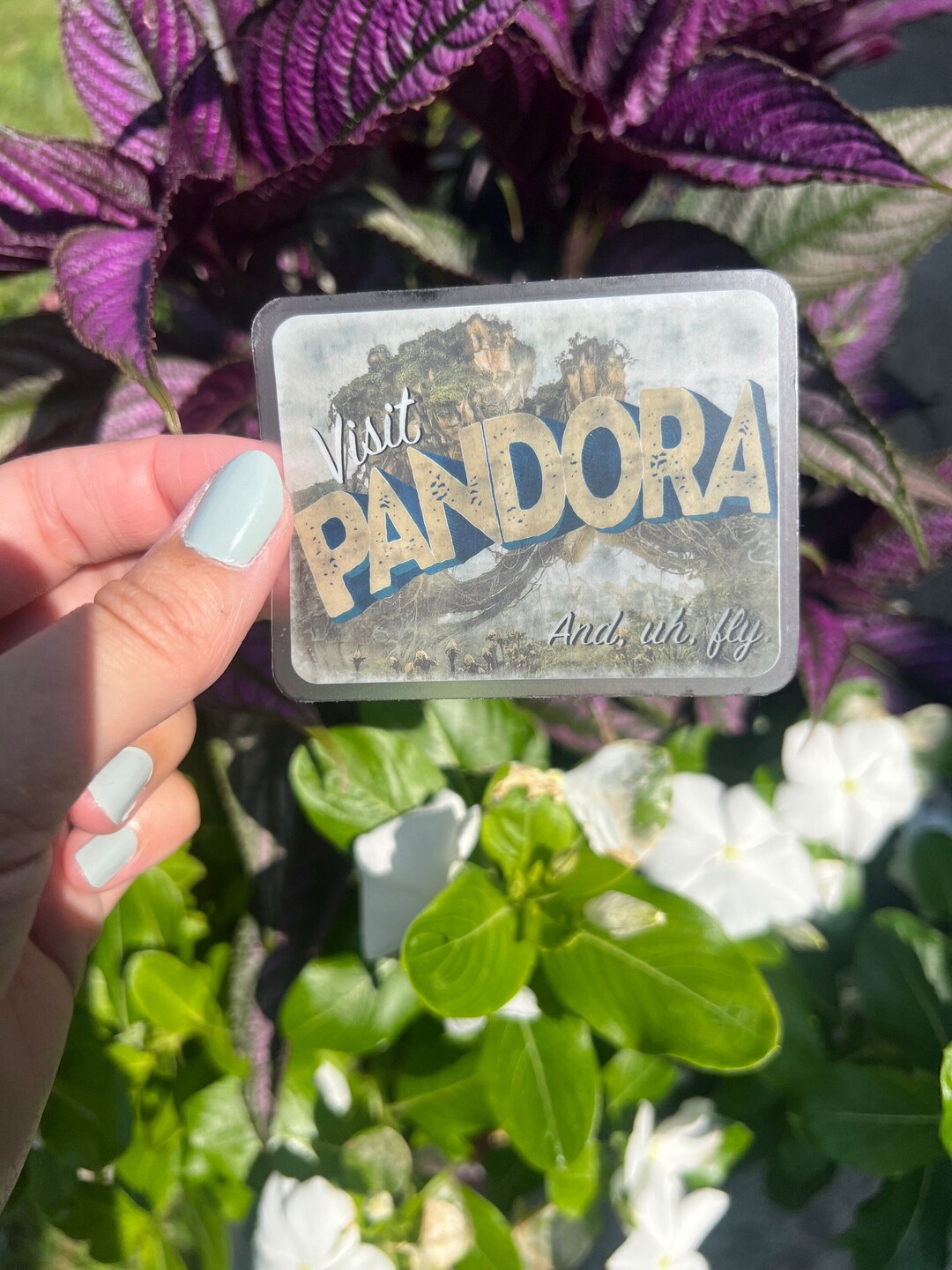 Pandora Postcard Sticker - Avatar Sticker - Animal Kingdom Sticker ...