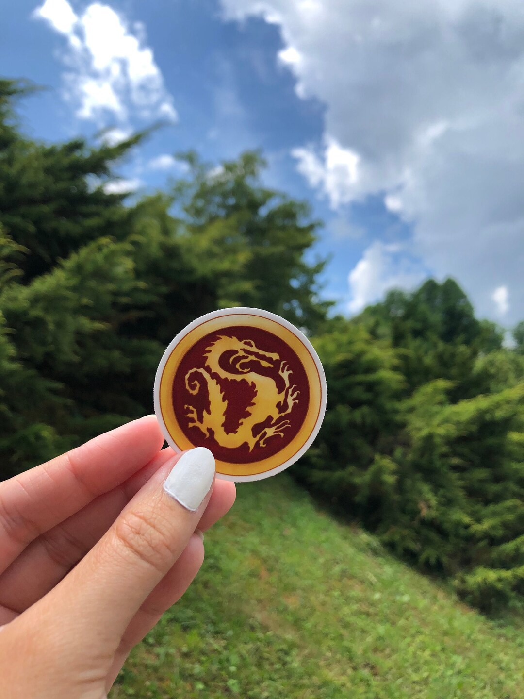 Mulan Medallion Sticker - Emperors Medallion Sticker - Etsy