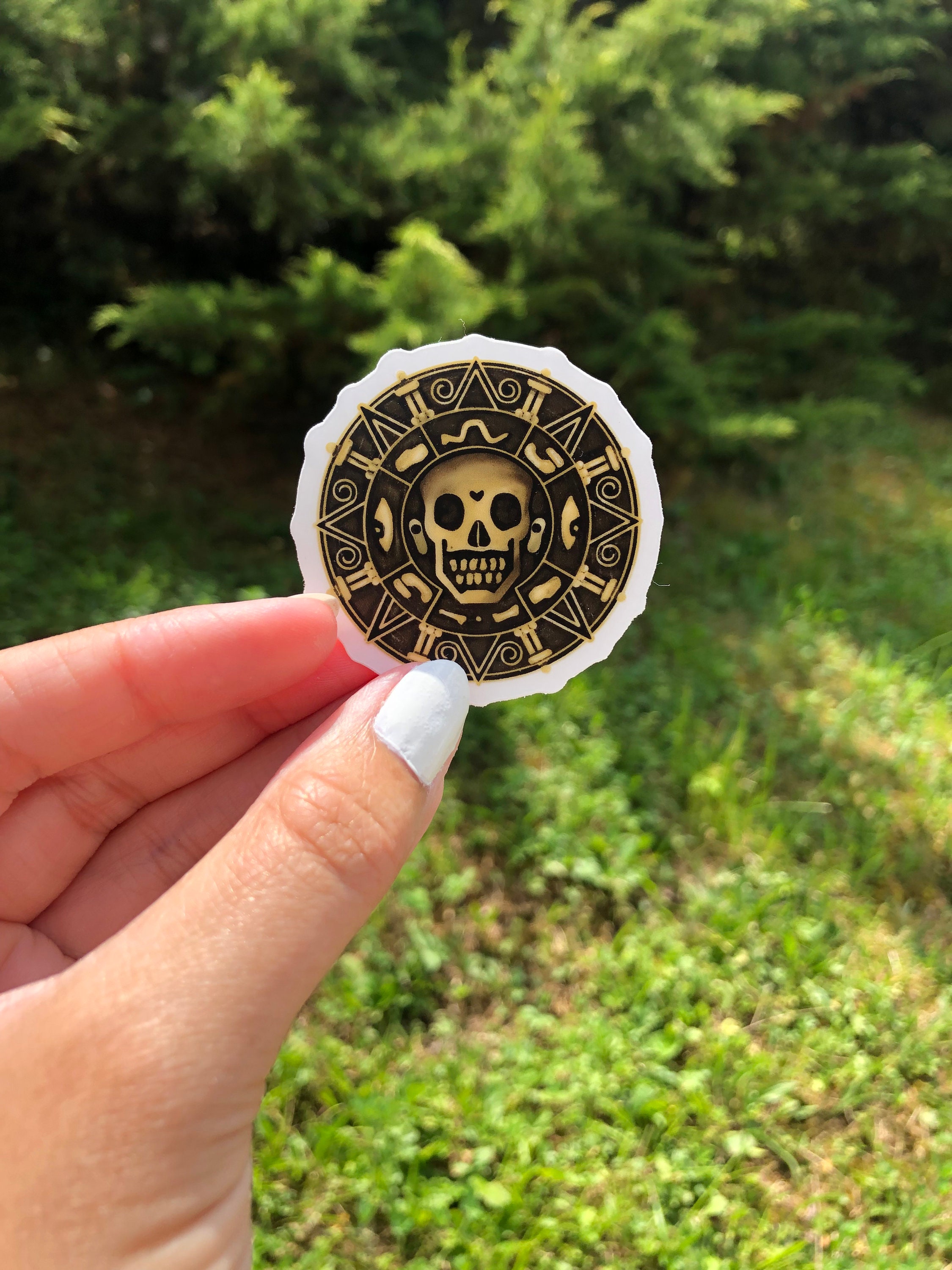 Pirate Medallion Sticker | Etsy