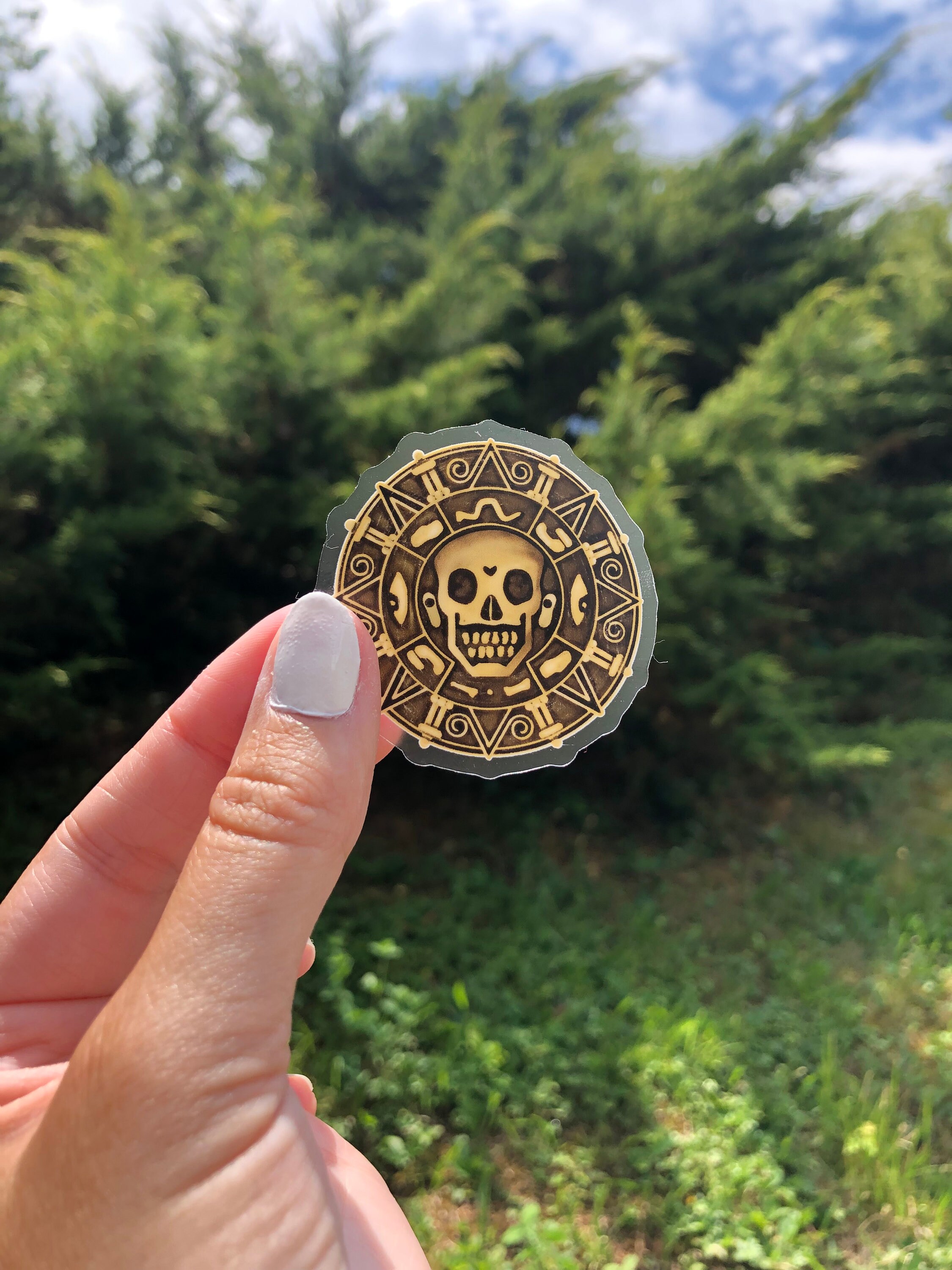 Pirate Medallion Sticker | Etsy