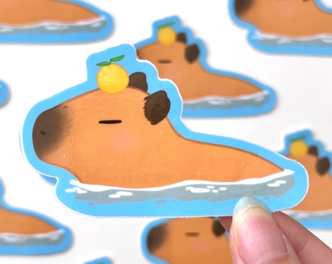 Capybara Stickers Sticker Pack Laptop Sticker Vinyl Sticker Deco ...