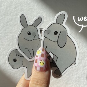 Binky Bunny Sticker Pack of 3, Waterproof Glossy Vinyl Sticker, Lop ...