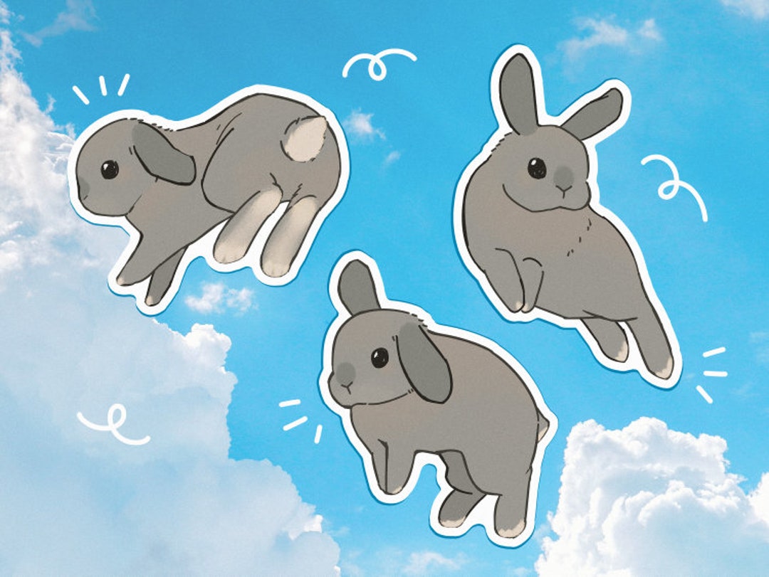 Binky Bunny Sticker Pack of 3, Waterproof Glossy Vinyl Sticker, Lop ...