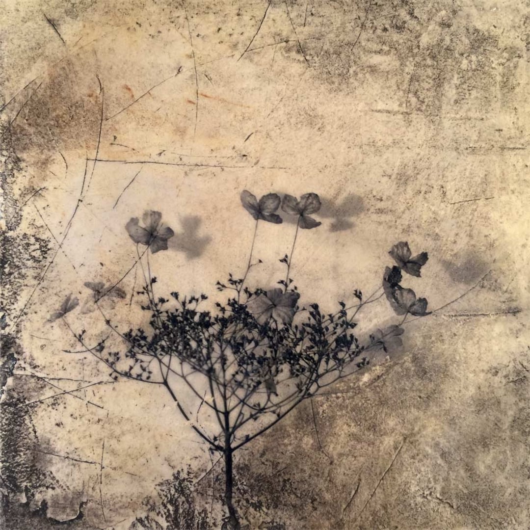 Flowers for Goethe, Botanical Art, Garden Art, Flower Print, Mixed ...