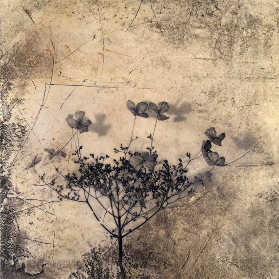 Flowers for Goethe Botanical Art Garden Art Flower Print - Etsy