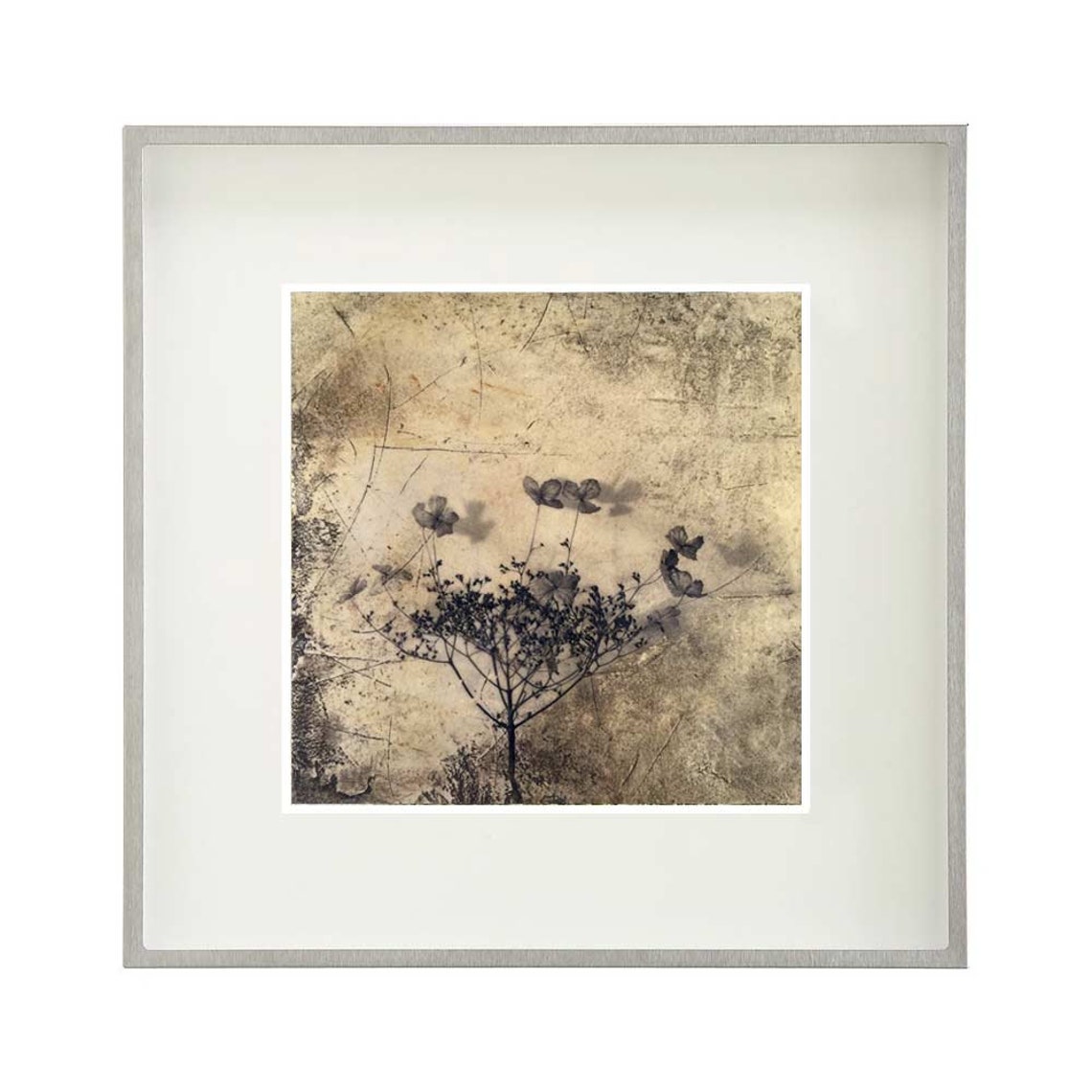 Flowers for Goethe, Botanical Art, Garden Art, Flower Print, Mixed ...