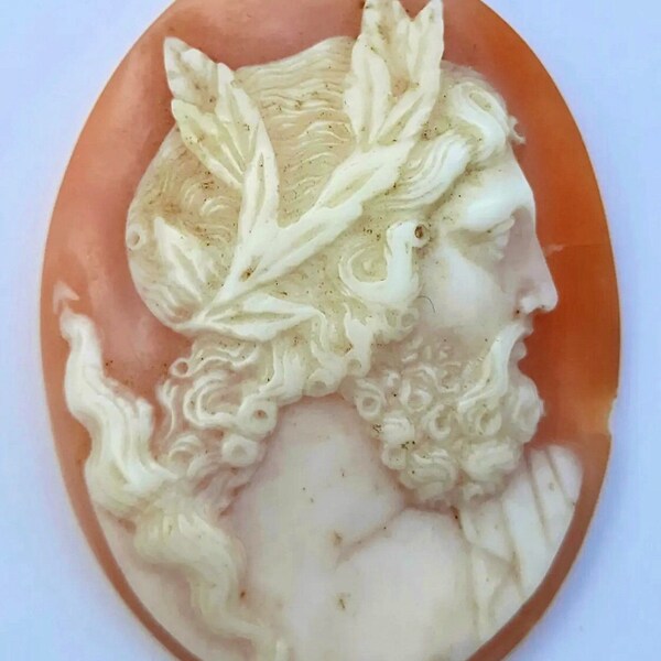 Shell Cameo - Etsy