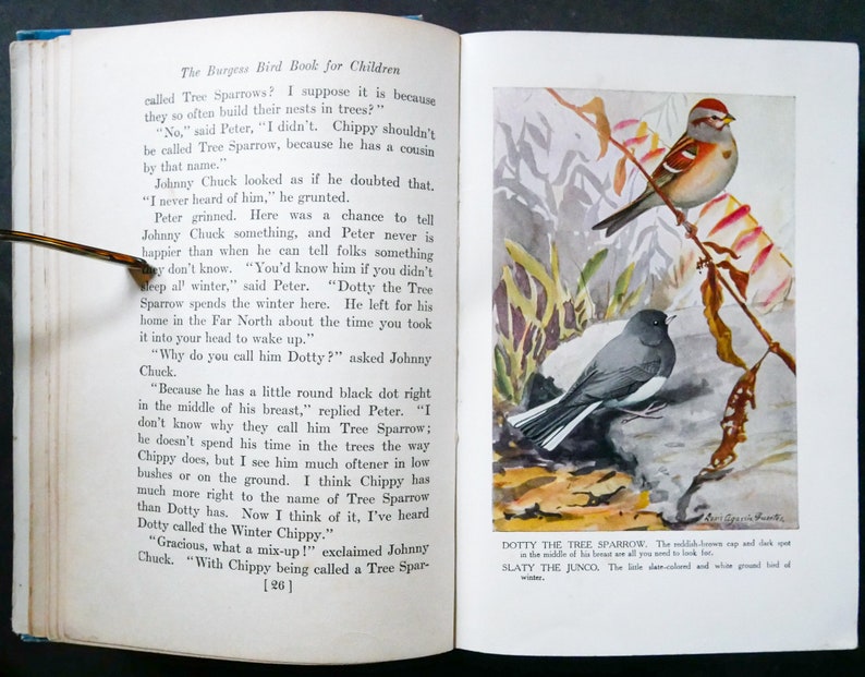 The Burgess Bird Book for Children 1925 by Thornton W. - Etsy