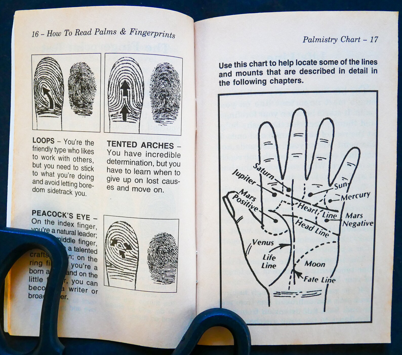 How to Read Palms & Fingerprints 2001 by Royal Caldwell - Etsy