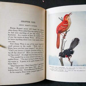 The Burgess Bird Book for Children 1925 by Thornton W. - Etsy