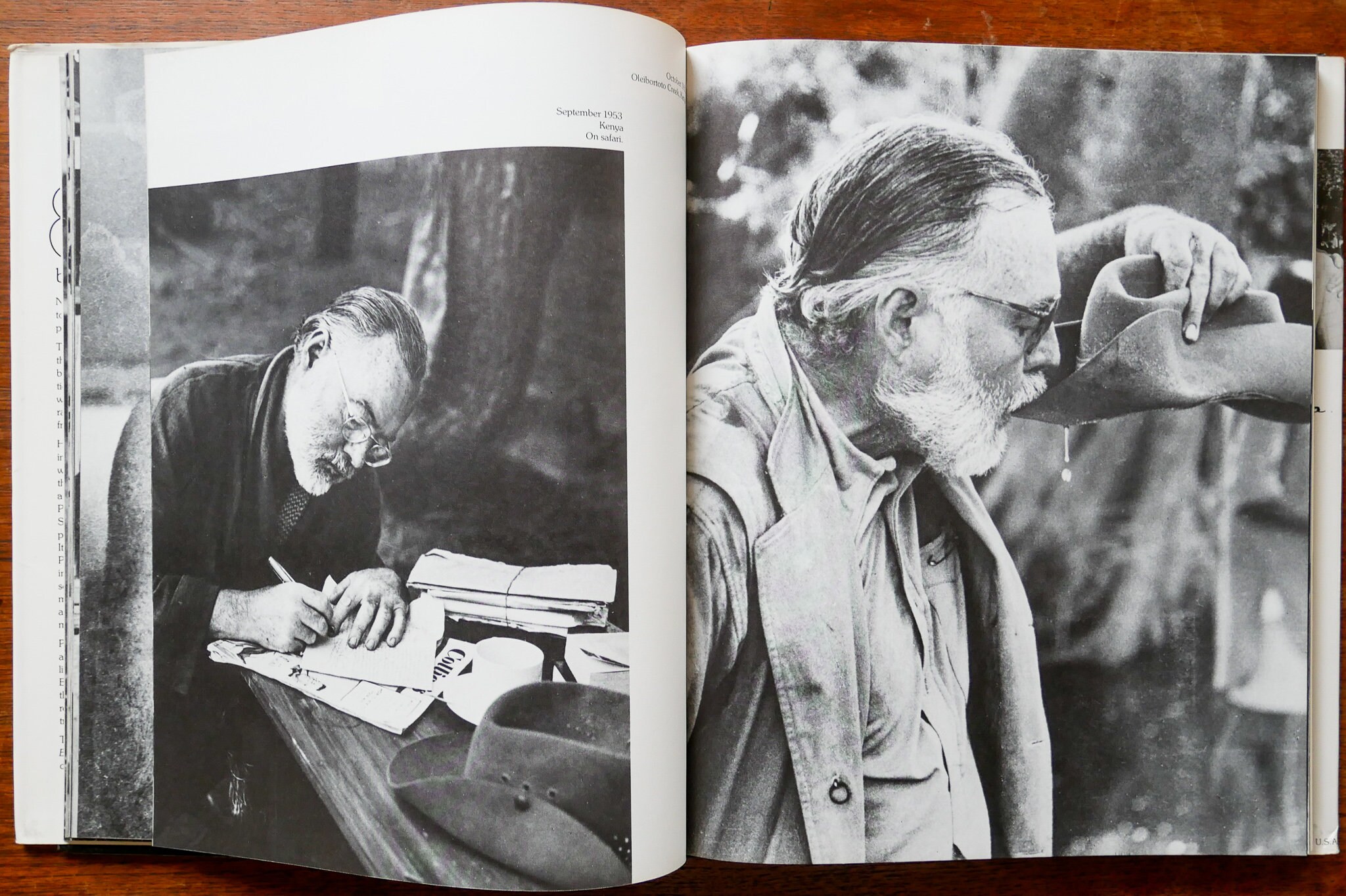 Ernest 1978 by Peter Buckley Photo Biography of Ernest | Etsy