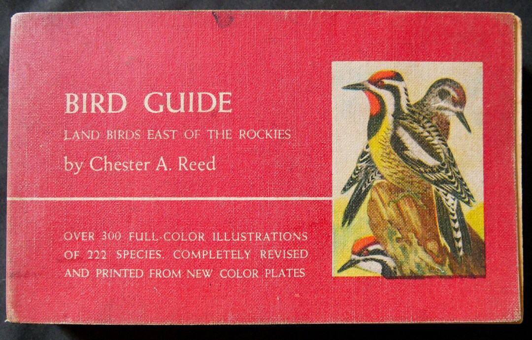 Bird Guide (1951) Land Birds East of the Rockies by Chaster A. Reed ...