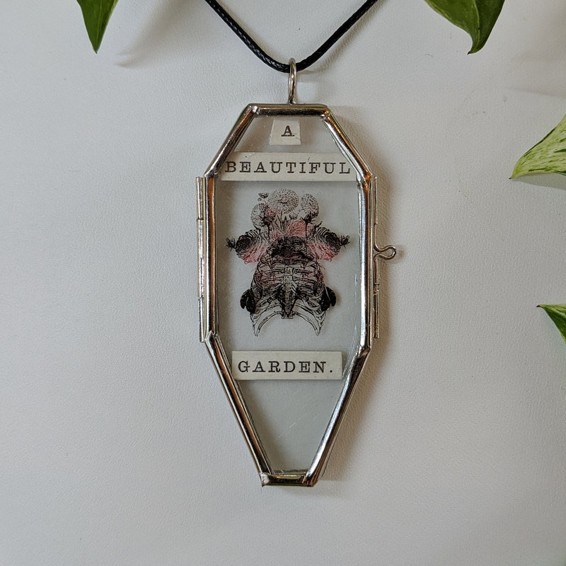 Glass Coffin - Etsy
