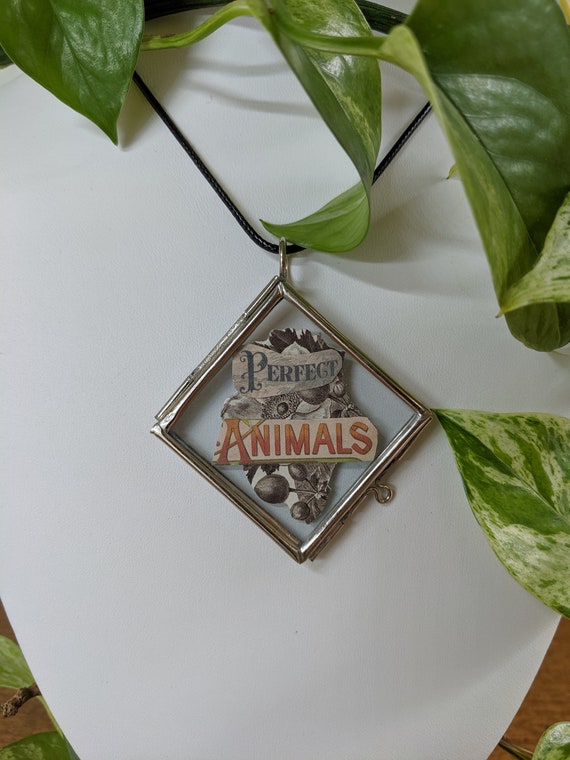 Perfect Animals Silver Glass Frame Locket | Etsy