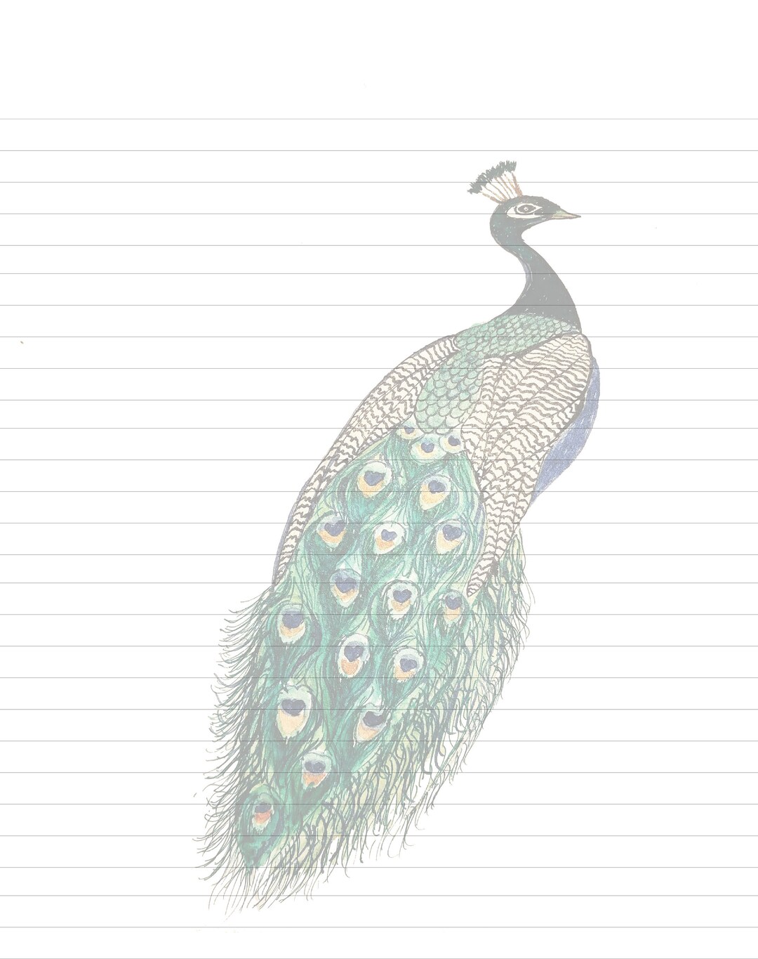 Peacock, Bird, Letter Writing, Printable, Lined Paper, Letter Writing ...