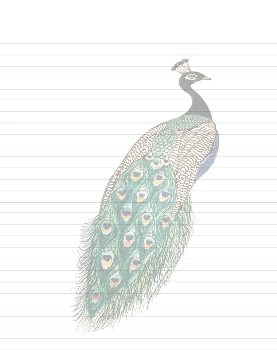 Papel Para Escribir Con Motivos De Pavo Para Imprimir