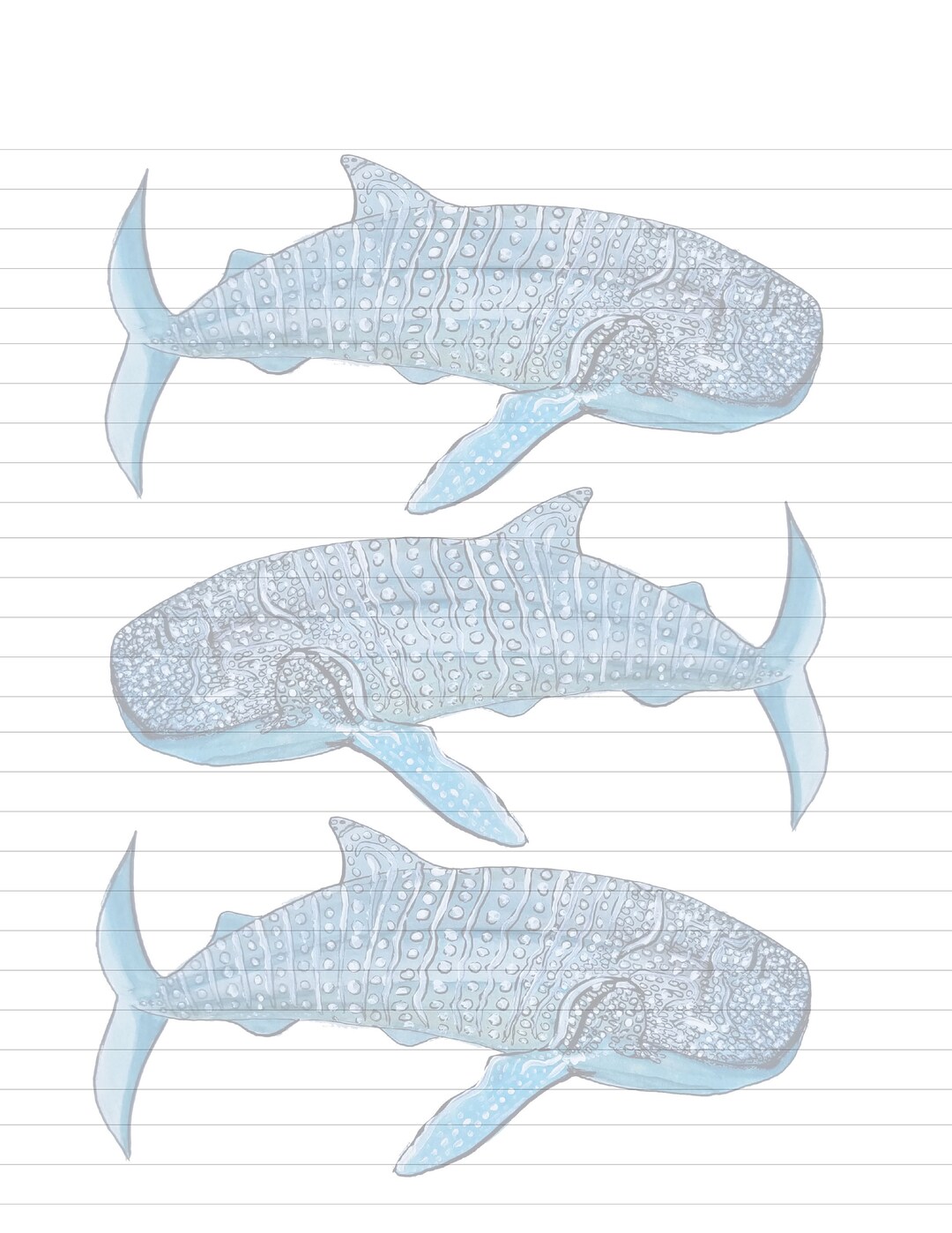Whale Shark Letter Writing Paper, Lined Stationery (digital Download ...