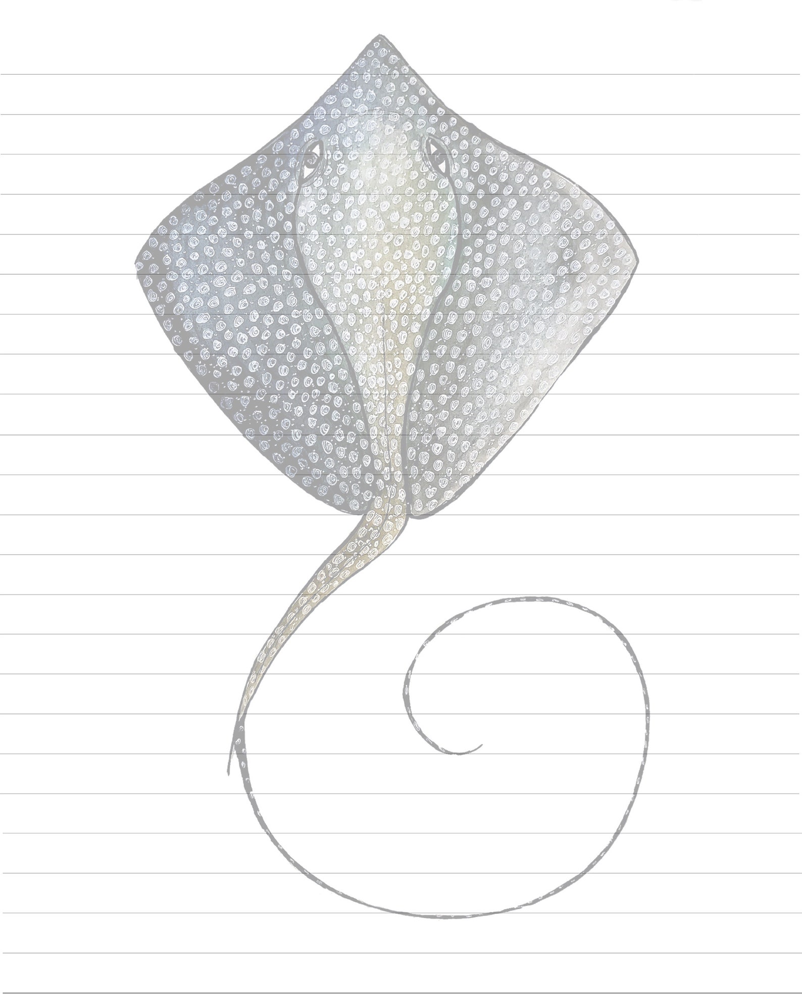 Stingray, Letter Writing, Printable, Lined Paper, Letter Writing, JW - Etsy