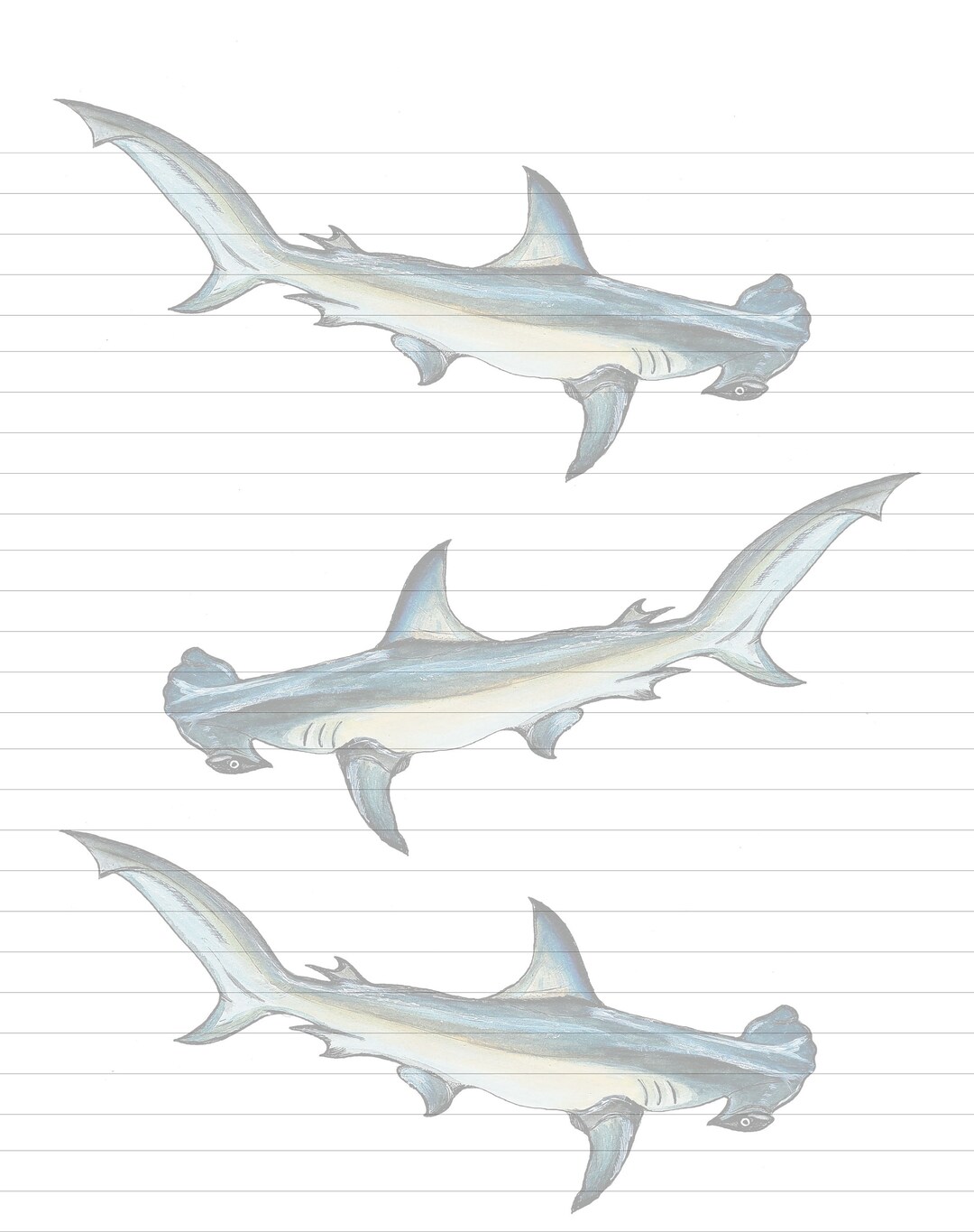 Hammerhead, Shark, Letter Writing, Printable, Lined Paper, Letter ...