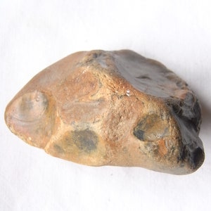 Piedra de pedernal paleolítica deliciosa de sostener piedra | Etsy