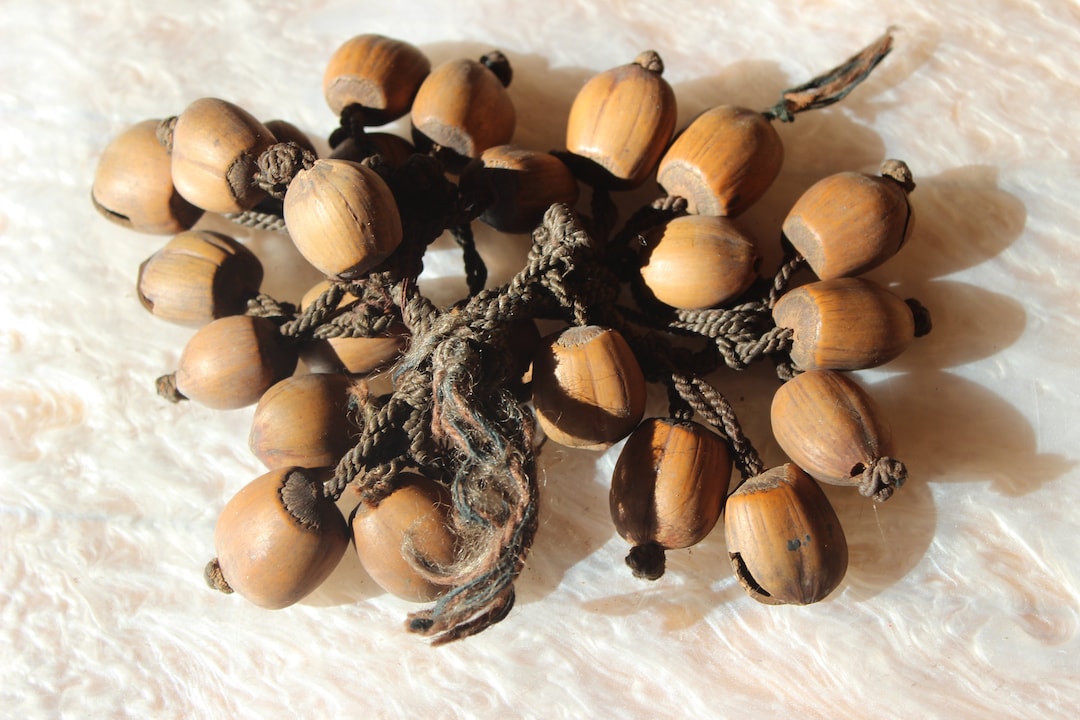 Antique Ayoyote Aztec Primitive Hand Knotted Rattle Made of Hard Shells ...