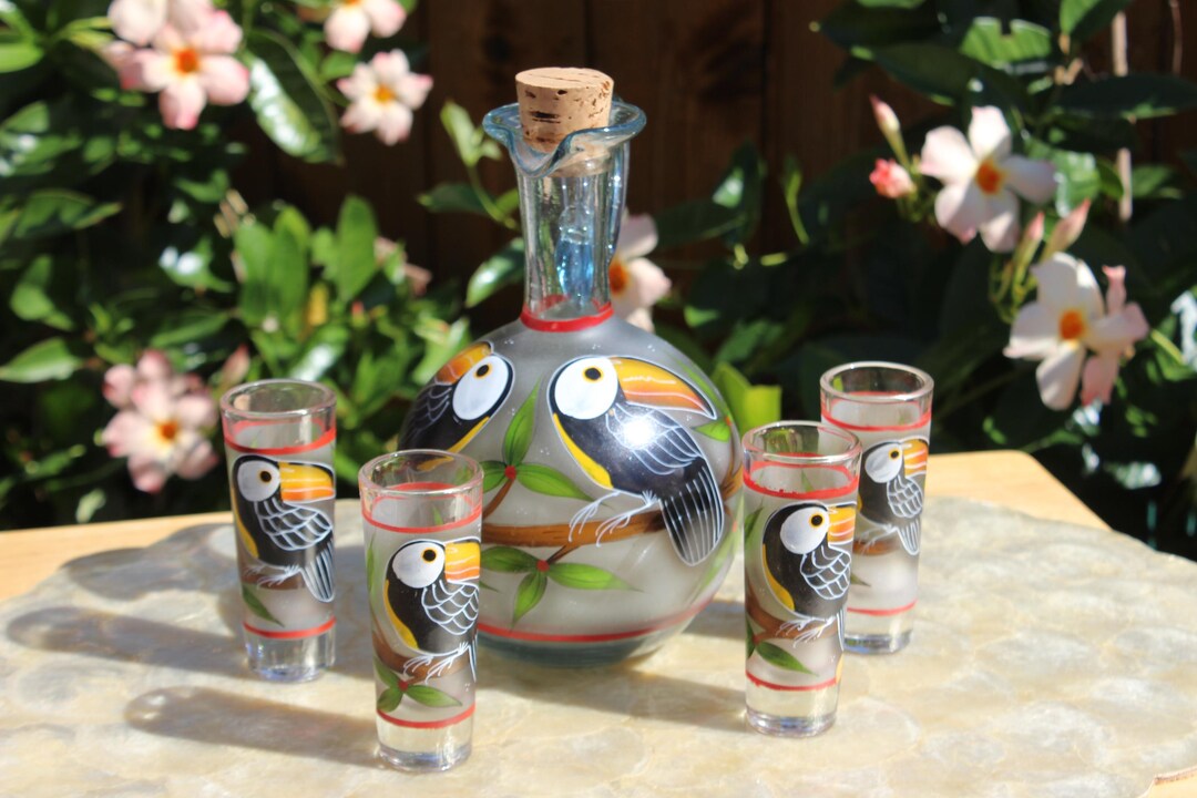Toucan Hand Blown Glass Pitcher and 4 Glasses - Etsy