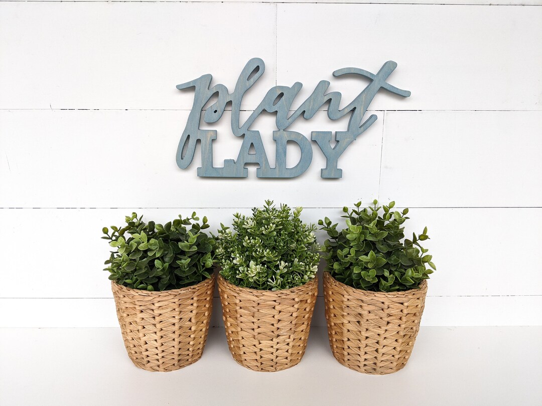 Plant Lady Sign, Plant Lady Cutout, 1/2" Thick Wooden Letters Plant ...