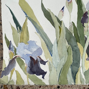 Marie Louise Rouff Watercolor Titled First Iris 1988 - Etsy