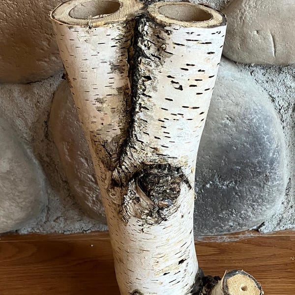 Birch Bark Vase - Etsy