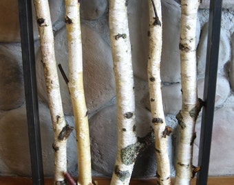 Birch Poles - Etsy