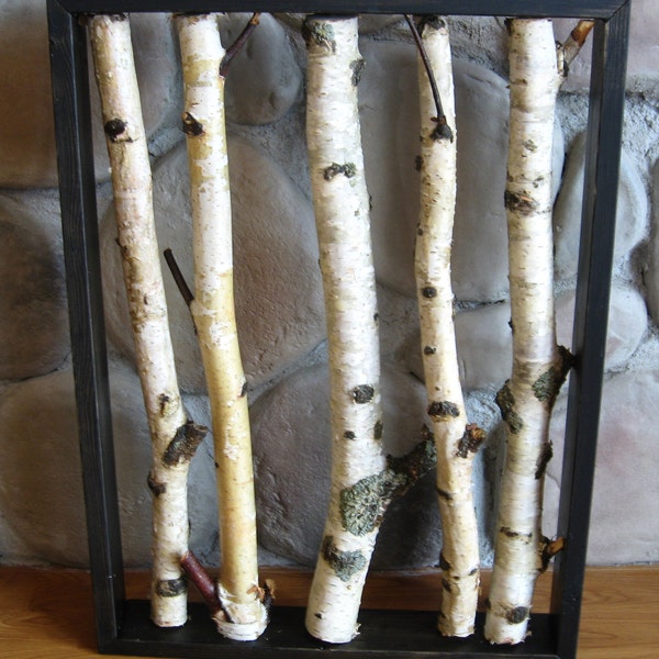 Birch Poles - Etsy