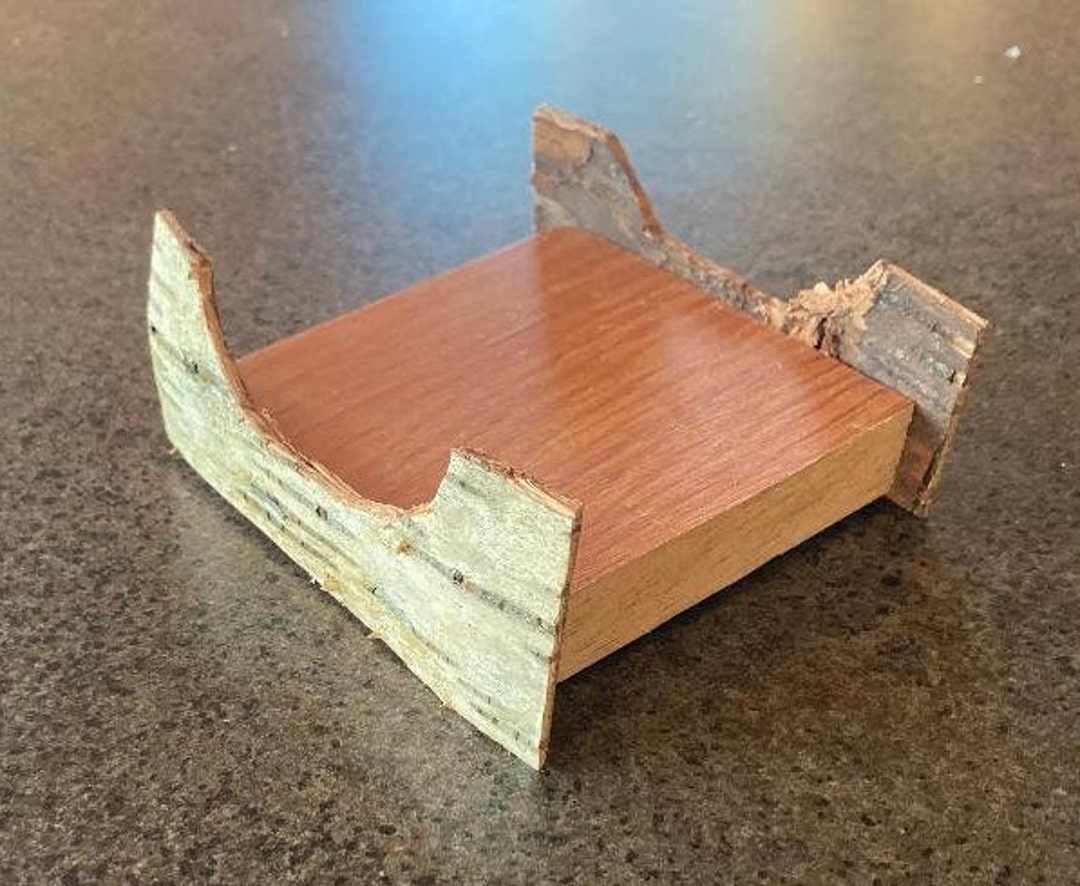 Natural Birch Bark Mini Canoe Display Stand - Etsy