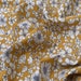 White Floral Linen on Ginger Yellow Flower Linen Fabric for Dress ...